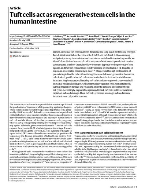 Tuft Cells Act As Regenerative Stem Cells In The Human Intestine Pdf