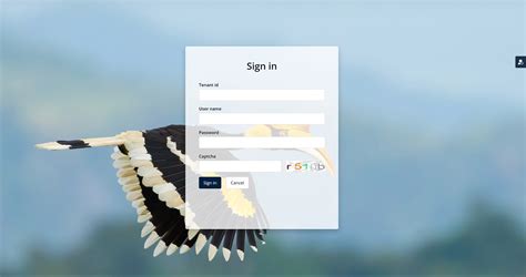 Real Time Parcel Information Synchronization Application Of Websocket In Mendix By Niko Medium