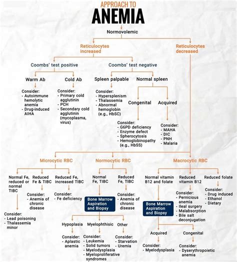 Anemia Algorithm Manual Of Medicine