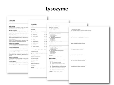 Lysozyme Made By Teachers