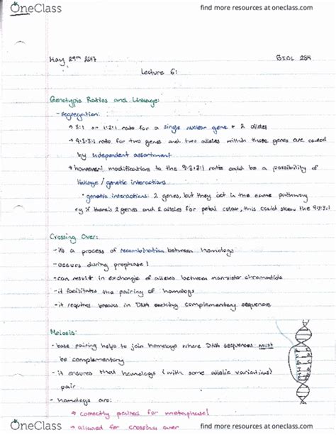 Biol 234 Lecture Notes Spring 2017 Lecture 6 Meiosis Oca2 Herc2