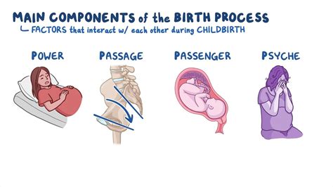 Video Labor And Birth Processes Osmosis