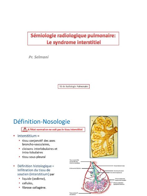 Sd Interstitiel 01 Pdf