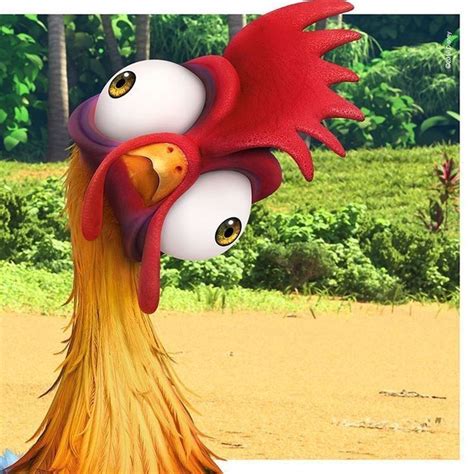 Hey Hey Chicken Moana Hei Hei Vaiana Dabbv