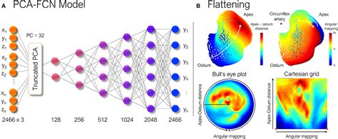 Frontiers Deep Learning Framework For Real Time Estimation Of In