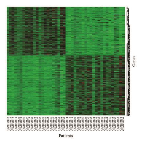 A Training Gene Data Set B Test Gene Data Set C Classification