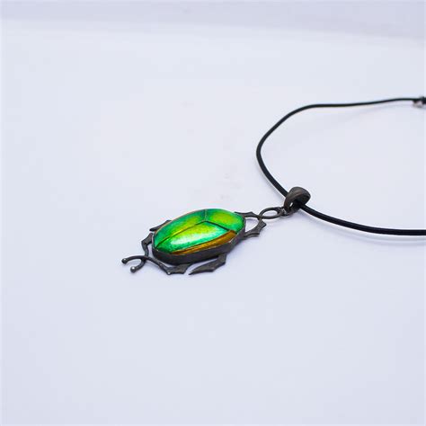 Fig Eater Beetle Darci Shea Studios