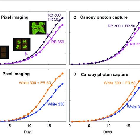 Fraction Of Ground Cover And Canopy Photon Capture Of Lettuce Under Download Scientific