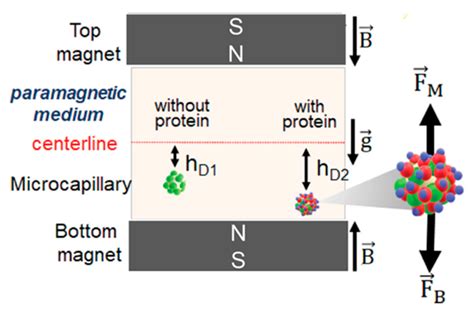 Biosensing Strategies Based On Particle Behavior