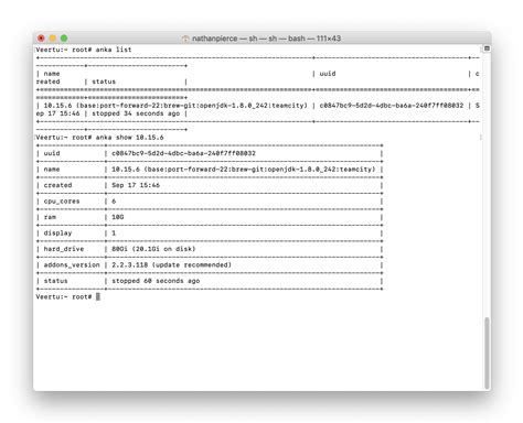 Macos Vm Image Management In Anka Build Macos Cloud Solution Veertu