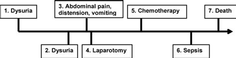 Figure 1 From Unusual Cause Of Dysuria Lymphoma Of Terminal Ileuim