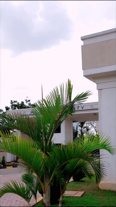 Aws User Group Kenya On Linkedin Amazon Q Developer Workshop