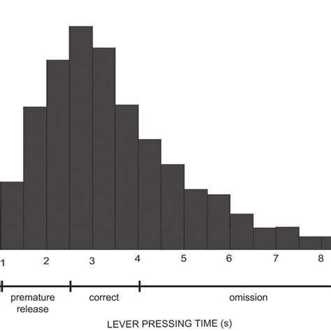 A Synaptic Connectivity Of The Hippocampus The Trisynaptic Circuit Download Scientific