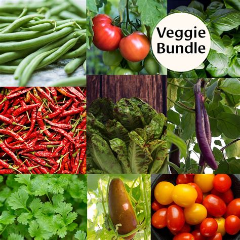 Organic Garden Seeds Open Pollinated Organic Non Gmo Seeds Banyan