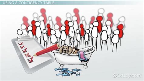 Contingency Tables In Statistics Definition And Examples Lesson