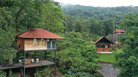 Monsoon Ayurveda Retreats In Kerala July Detox Guide