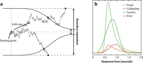 figure 5 from sequential sampling models in cognitive neuroscience advantages applications