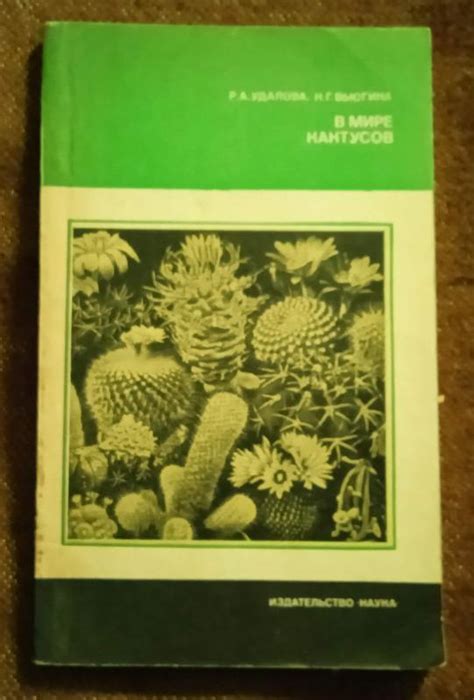 в мире кактусов — цена 120 грн в каталоге Дом и хобби Купить товары для спорта по доступной