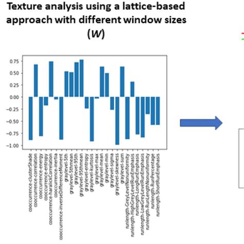 the schematic of the ldct analysis pipeline including lung field