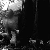 Mistress Roxy Clips Sale