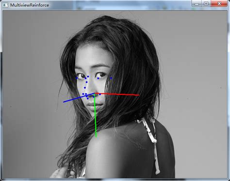 GitHub Wanglin193 ShiqiYu Libfacedetection Test Test