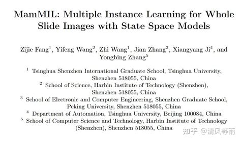 论文阅读 Mammil Multiple Instance Learning For Whole Slide Images With State Space Models 知乎