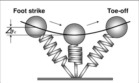 Spring Mass Model In Running The Leg Spring Is Compressed During The Download Scientific