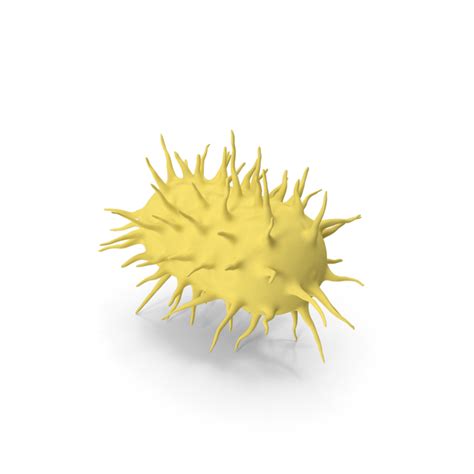 Bacteria Yellow Png Images And Psds For Download Pixelsquid S121087476