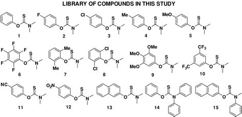 Various Nn Disubstituted O Thiocarbamates Investigated Download