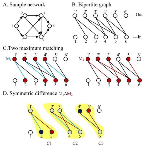 Figure S3：symmetric Difference Of Two Maximum Matchings Of A Sample Download Scientific Diagram