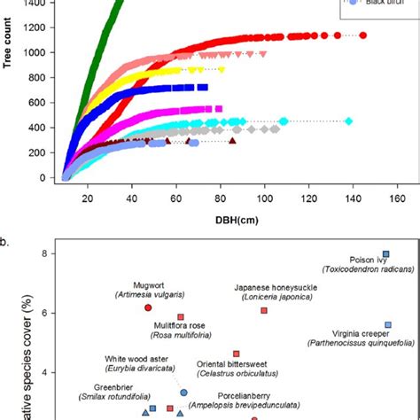 A Top 10 Most Dominant Canopy Tree Species By Abundance And Size