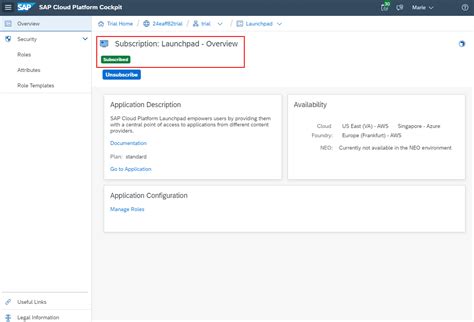 Use Sap Ui Theme Designer Simplifier Community
