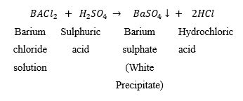 Selina Solutions Class 8 Concise Chemistry Chapter 6 Chemical Reactions Download Free PDF
