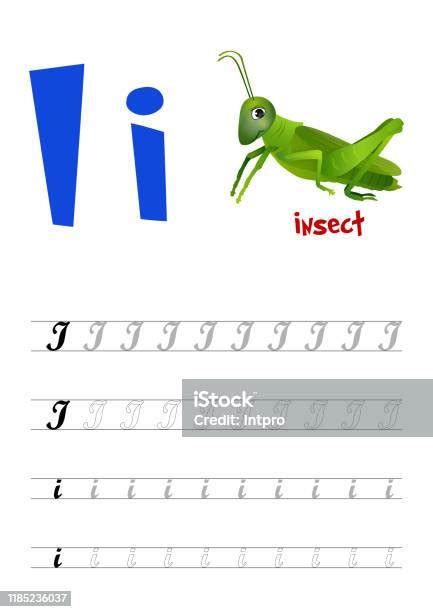 영어 알파벳의 디자인 페이지 레이아웃은 재미있는 만화 메뚜기와 함께 대문자와 소문자 I를 쓰는 것을 가르칩니다 플랫 스타일 벡터 그림입니다 개체 그룹에 대한 스톡 벡터 아트