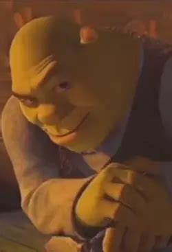 Shrek Funny Face Discover Hilarious Memes And Reactions Online