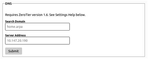Push Private Dns Server To Client Feature Requests Zerotier Discussions