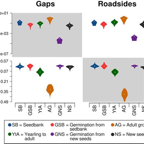Probability Distribution Of Stochastic Lambda Values For Each