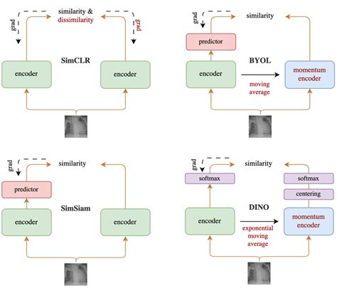 self supervised approaches architectures two augmented views of one