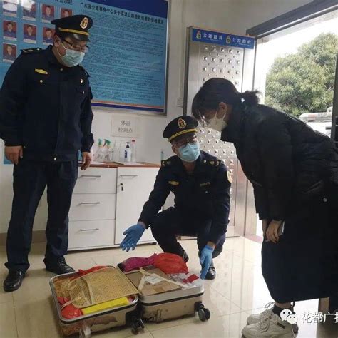 花都城事丨丢失的行李箱找到了 肇花 女士 失主