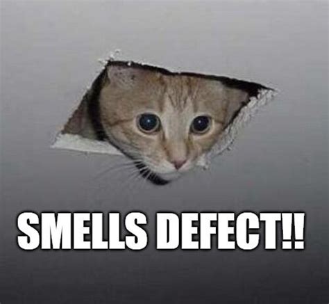 Kate Zalozna On Linkedin Softwaretesting Qa Softwarebugs Bugfixing