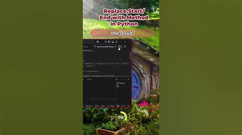 Replace Start End With String Method Coding Programming Python