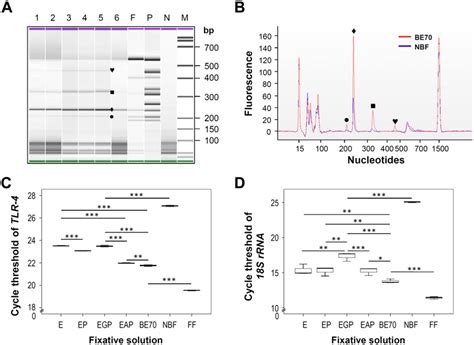 Rna Integrity Profile Of Rna Samples Derived From Experimental Mouse Download Scientific