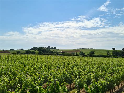 Le Vignoble De Saint Émilion Guide Bordeaux Gironde