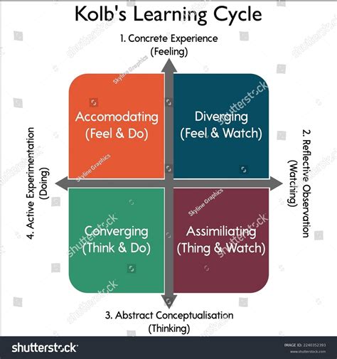 Kolbs Learning Cycle Infographic Template Stock Vector Royalty Free