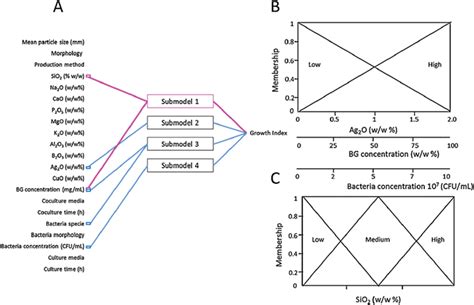 Illustration Of Model A With Submodels And Their Domains Used By Download Scientific Diagram