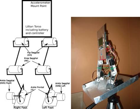 Lillian An 8 Dof Robot Kinematics Are Shown On The Left The Actual