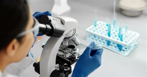 Bureau Veritas Acquires Testing Firm Qualibet In Ph