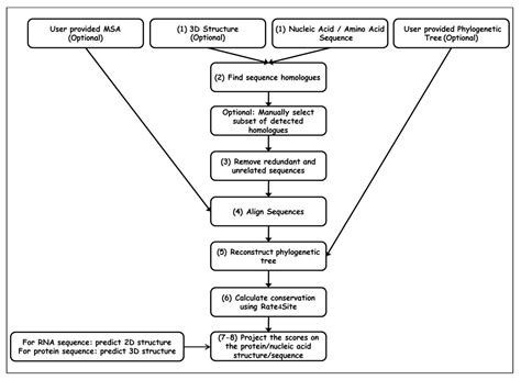 Software And Tools Consurf Hudsonalpha Code