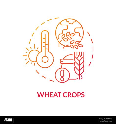 Thin Line Wheat Crops Icon Heatflation Concept Stock Vector Image And Art Alamy