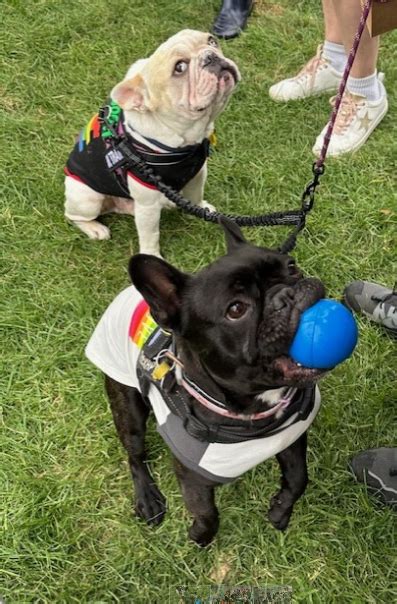 SHARC OUT And About SHARC Self Help Addiction Resource Centre